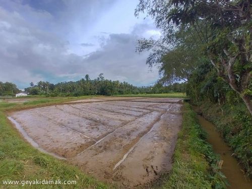 Bare Land for Sale at Nittambuwa - Gampaha Sri Lanka